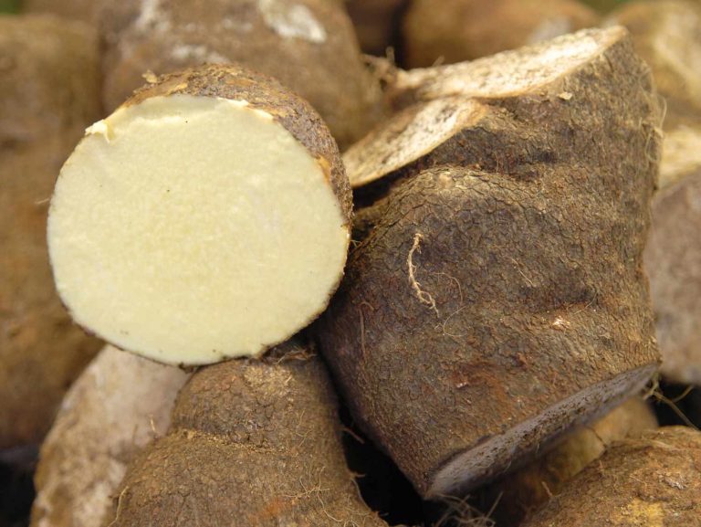 How To Cook Yams - Simple & Easy To Do