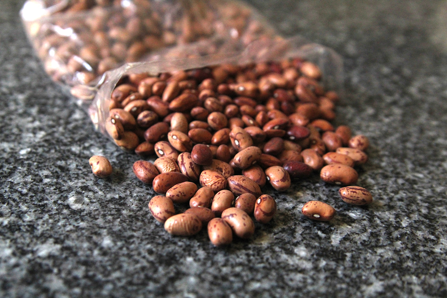 How To Cook Cranberry Beans - Simple & Easy To Do