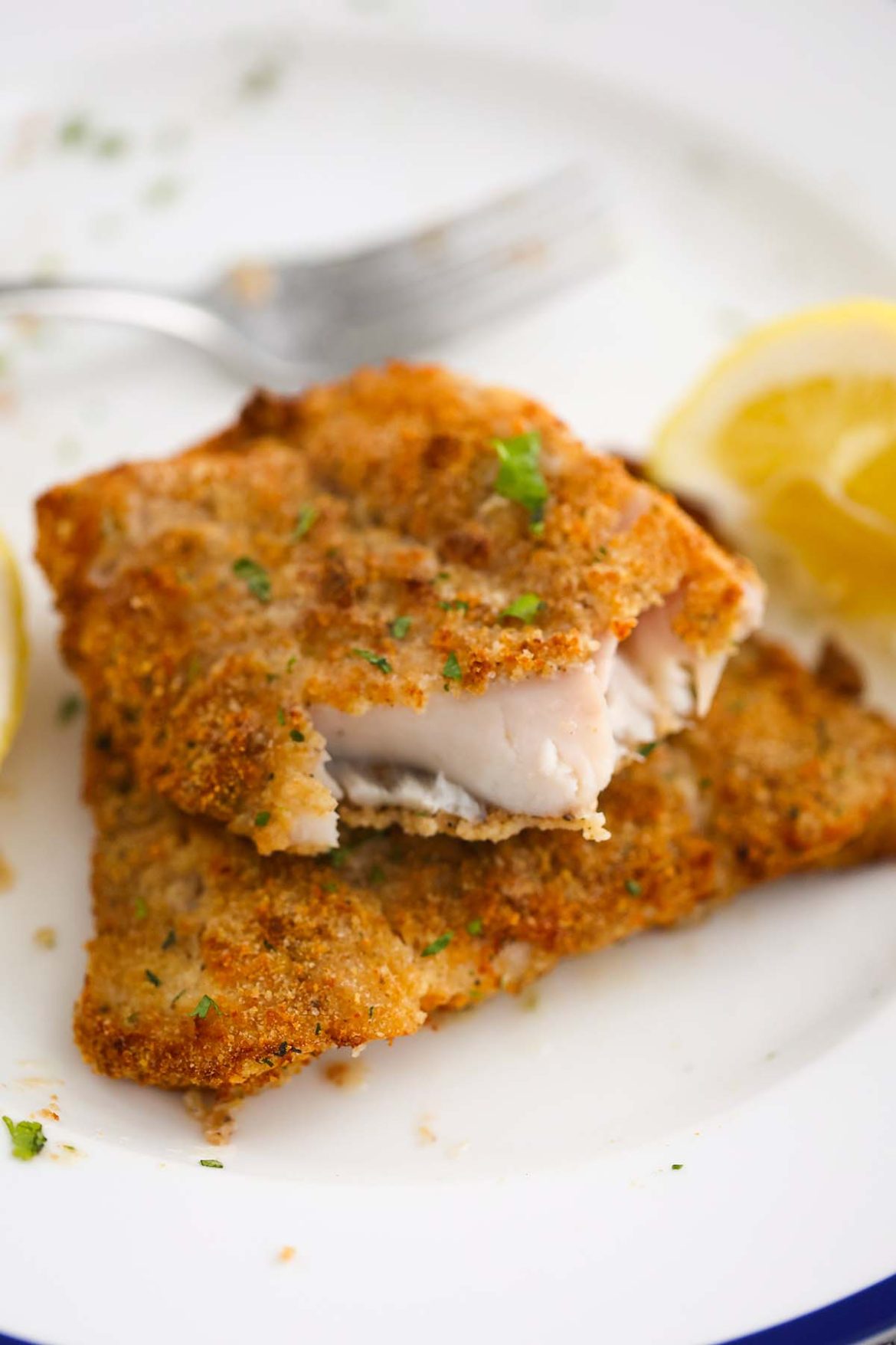 How To Cook Grouper Fillets - Simple & Easy To Do