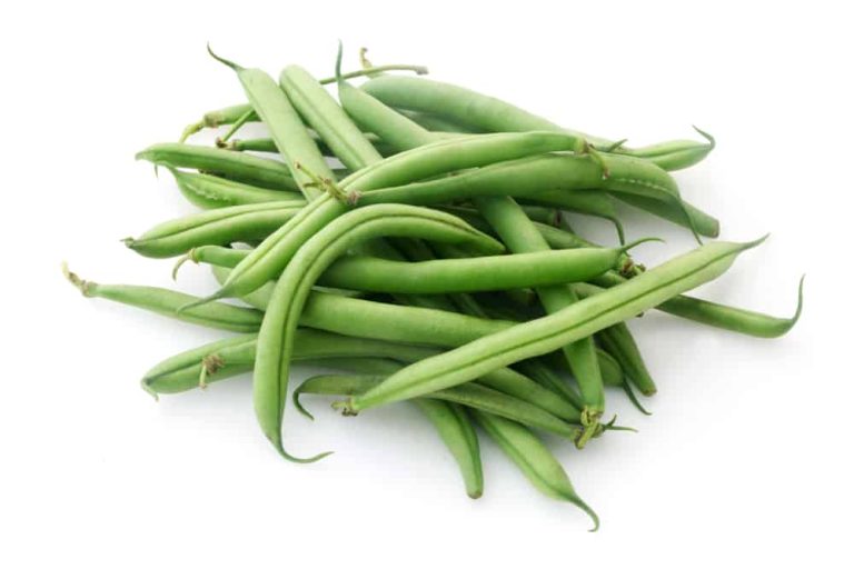 String Beans vs Green Beans: What’s the Difference?