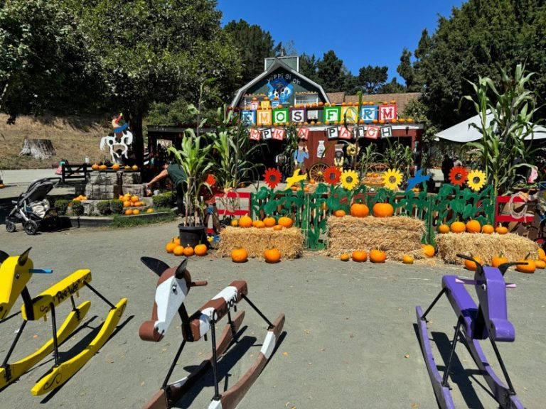 10 Cool Roadside Farm Stand Ideas - You Need To Know