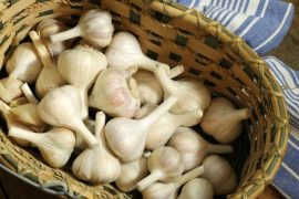 How To Store Garlic Long Term - Simple & Easy To Do