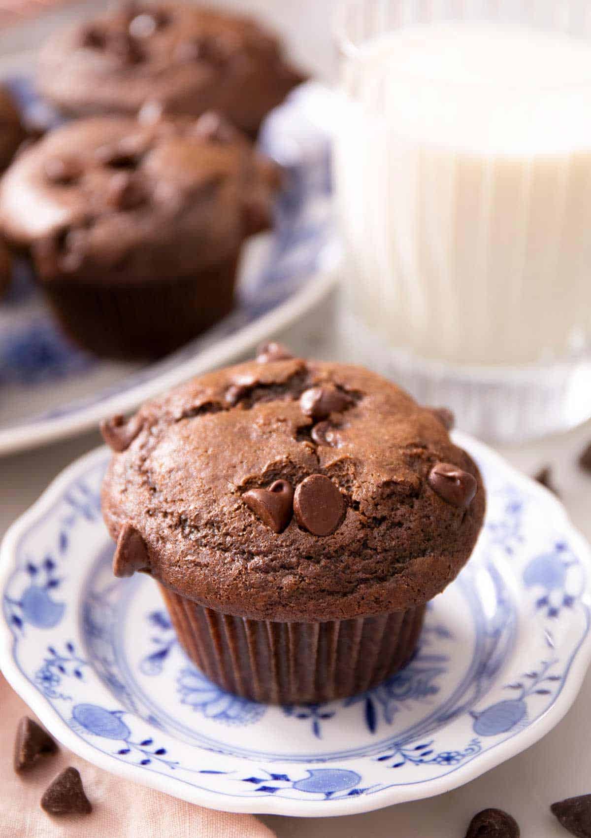 How to Make Perfect Chocolate Muffins | Simple, Easy, and Moist