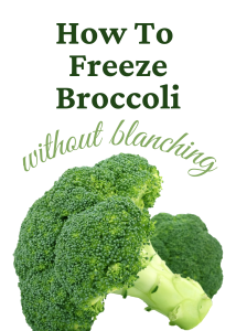 How to Freeze Broccoli Properly (Without Blanching)